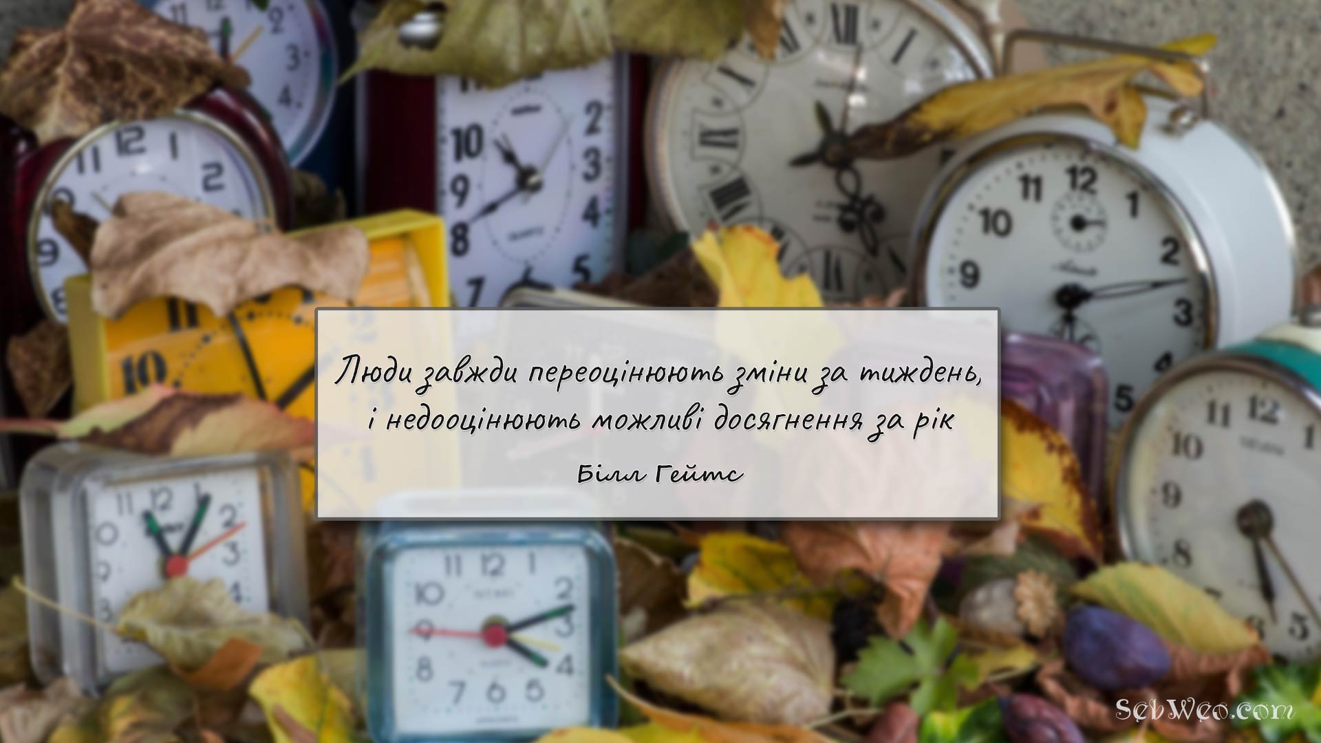 Білл Гейтс - цитати | SebWeo