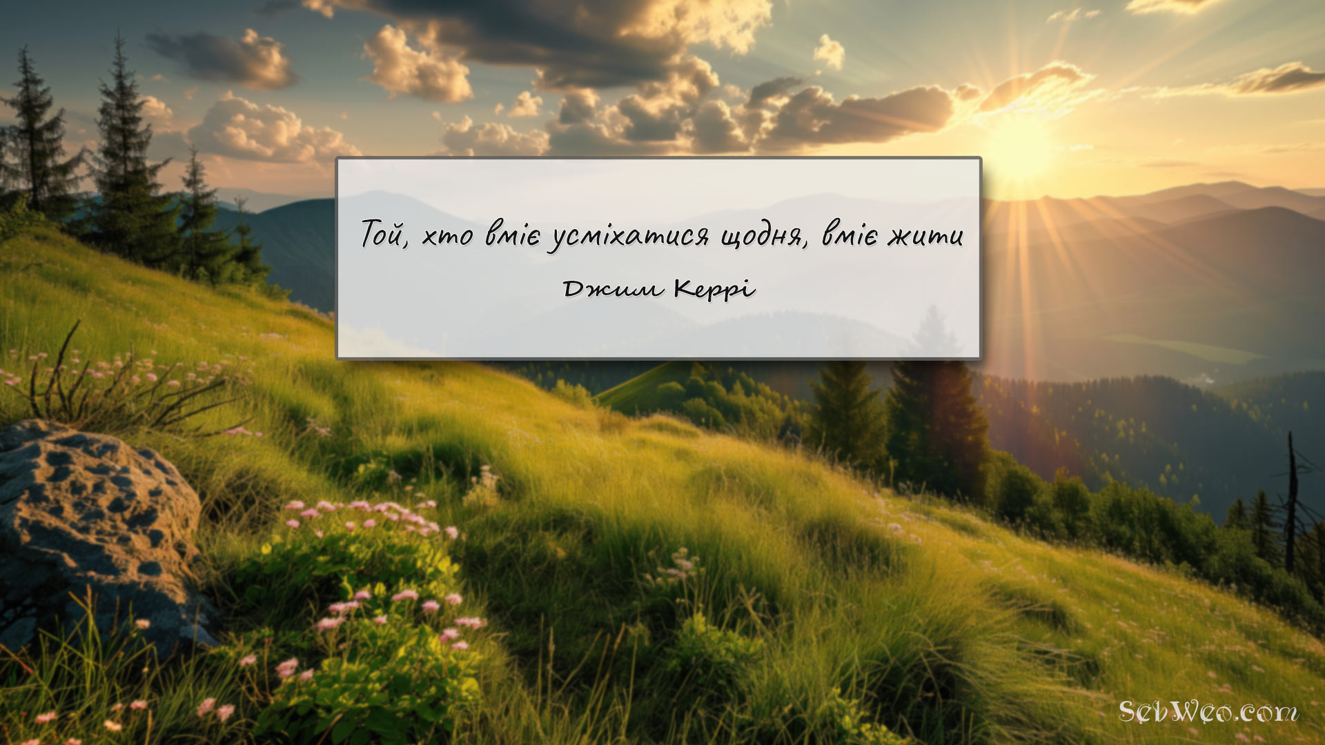 Джим Керрі - цитати | SebWeo