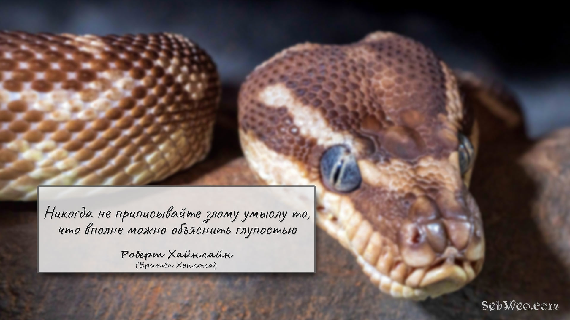 Роберт Хайнлайн - цитаты | SebWeo