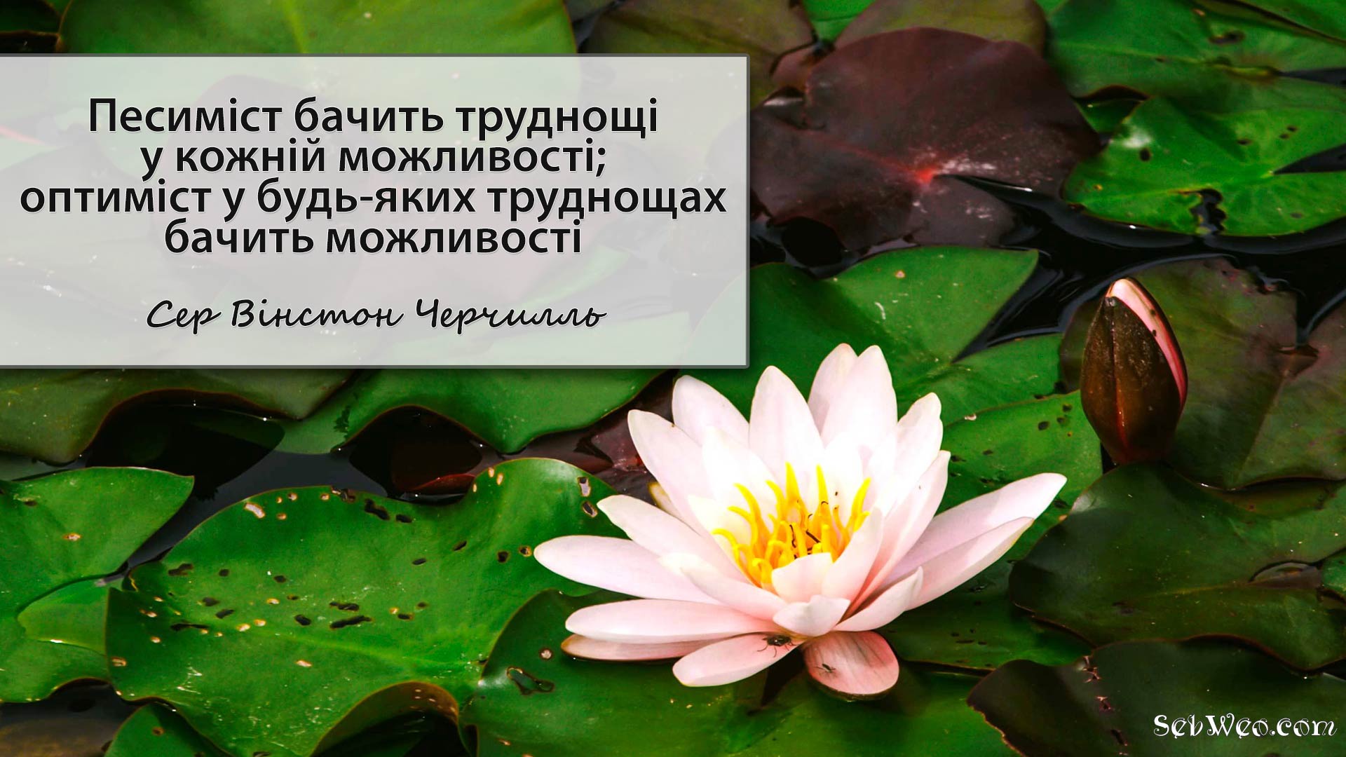 Вінстон Черчилль - цитати | SebWeo