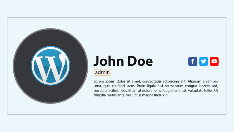 Как добавить блок с информацией об авторе поста в WordPress | SebWeo
