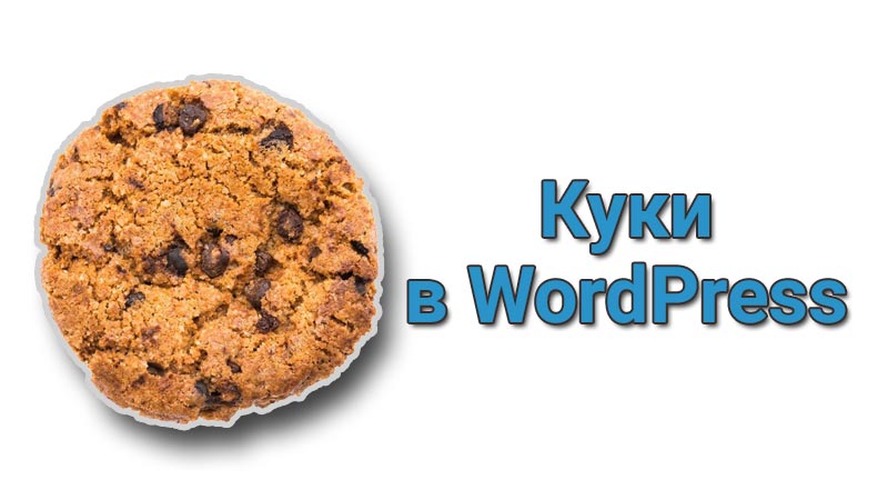 Как установить, получить и удалить куки в WordPress | SebWeo