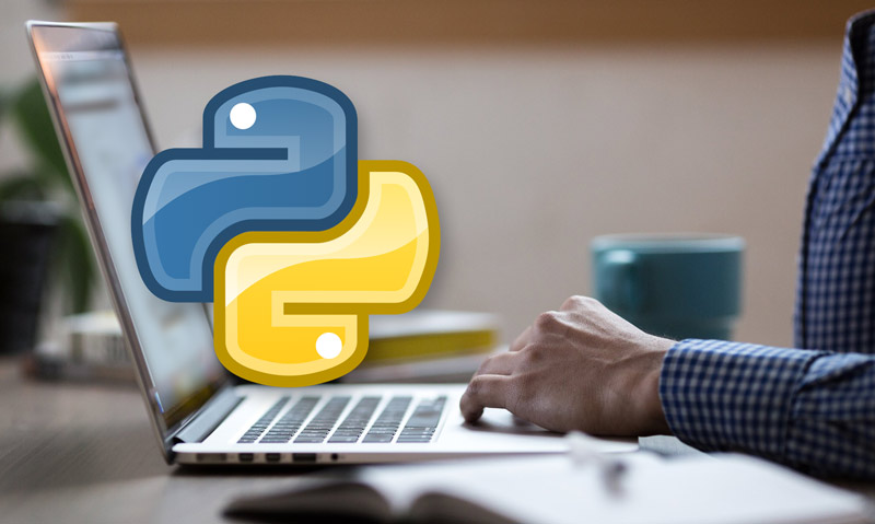 Як вивчити Python з нуля Sebweo