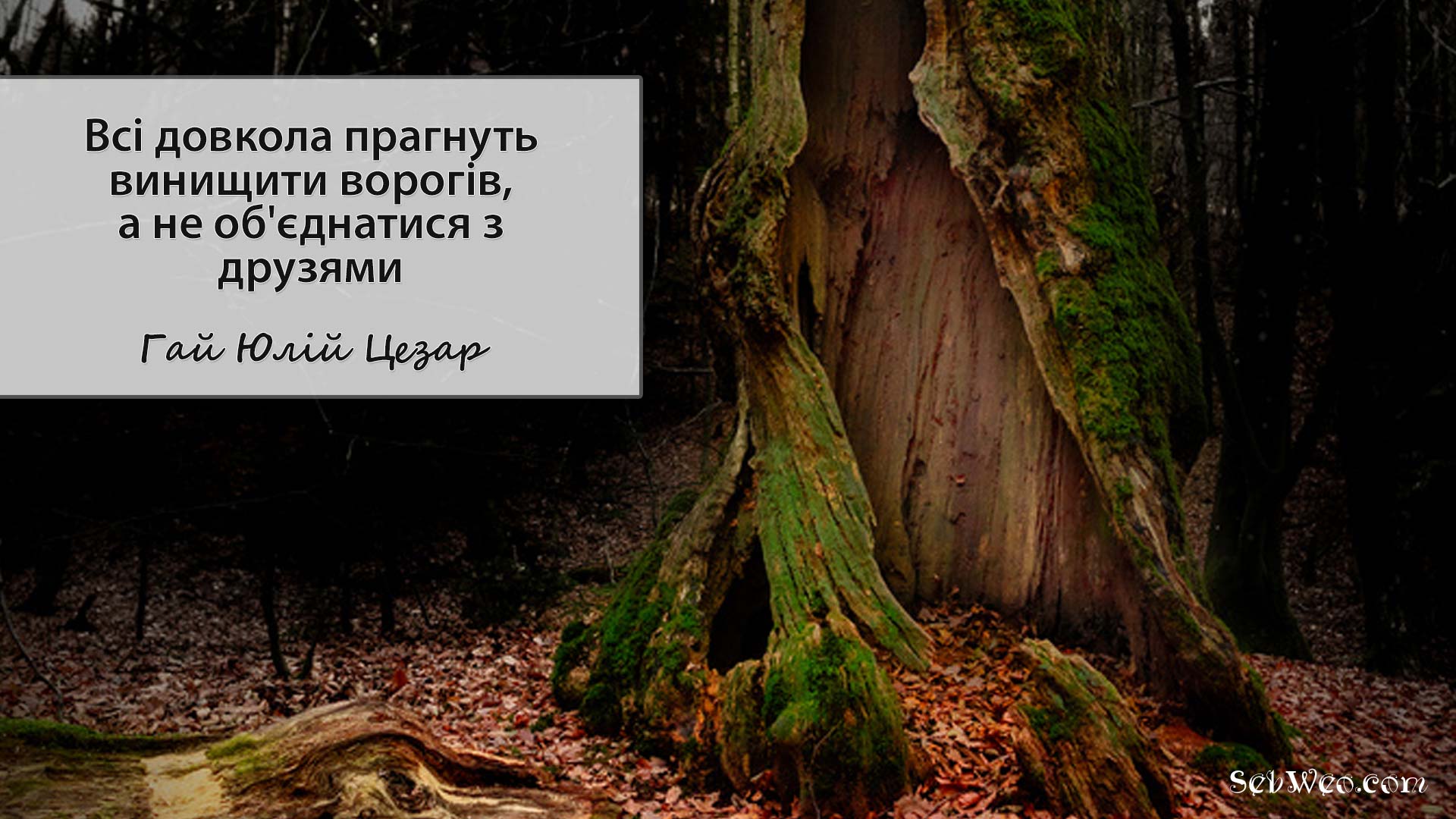 Гай Юлій Цезар - цитати | SebWeo