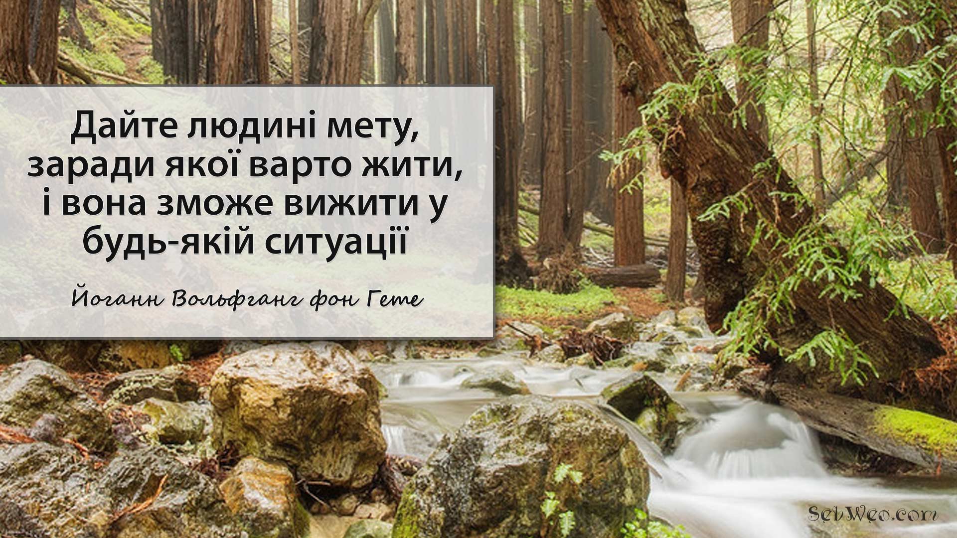 Йоганн Вольфганг фон Гете - цитати | SebWeo