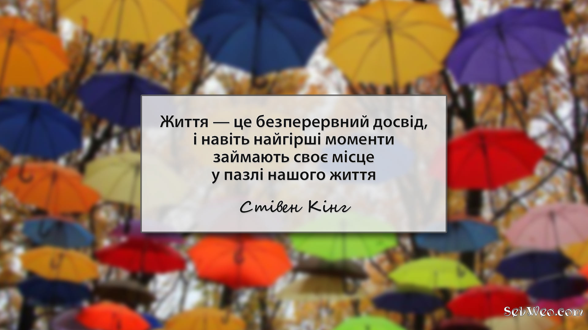 Стівен Кінг - цитати | SebWeo