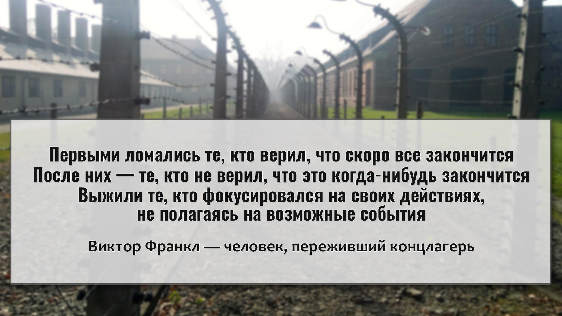 Виктор Франкл — человек, переживший концлагерь | SebWeo